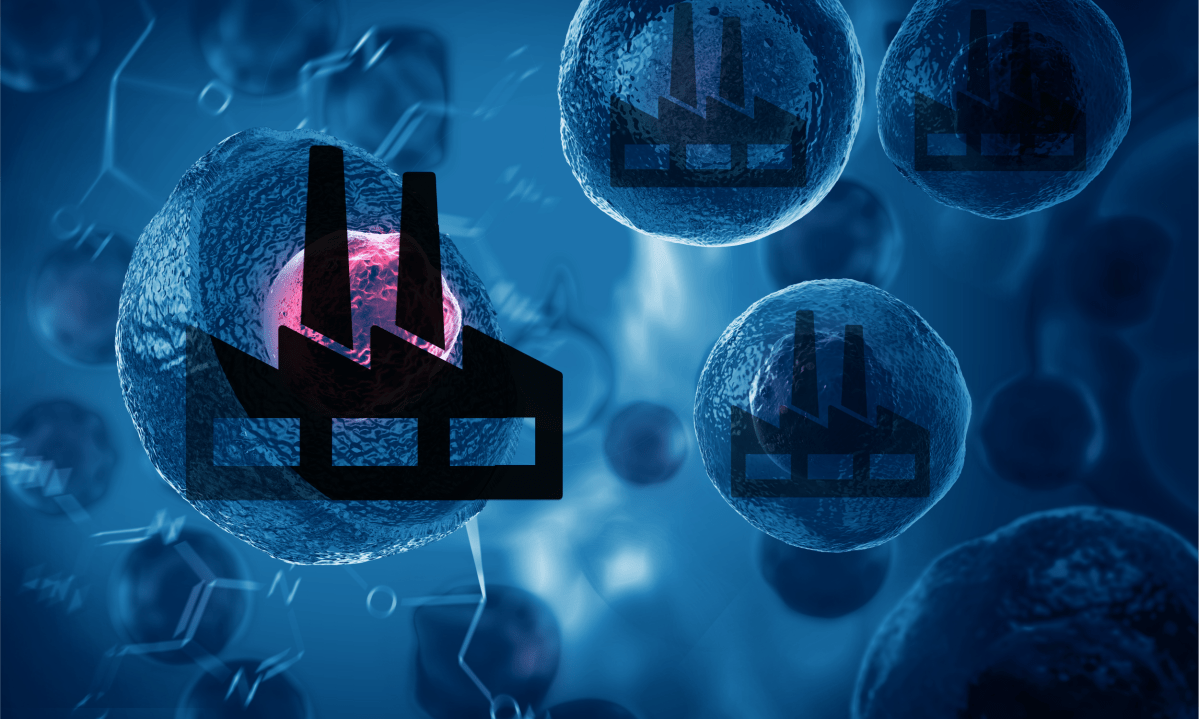 Fantastic Factories – The Mammalian Cell Line Production Systems ...